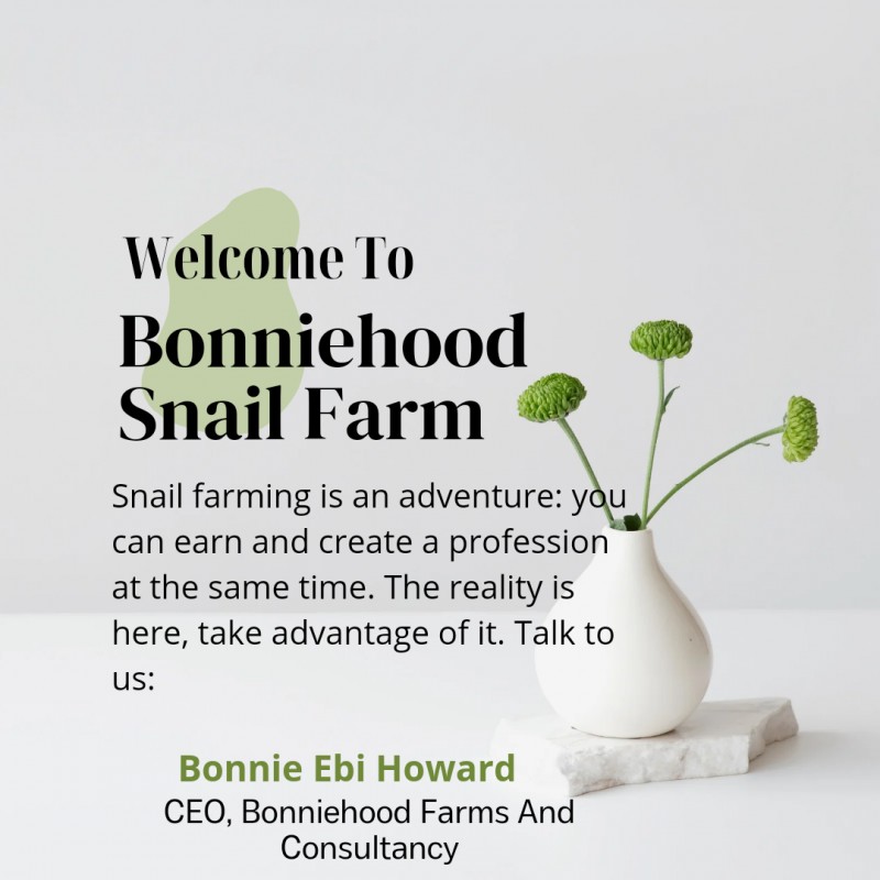 BONNIEHOOD FARMS AND AGRO CONSULT on Selar