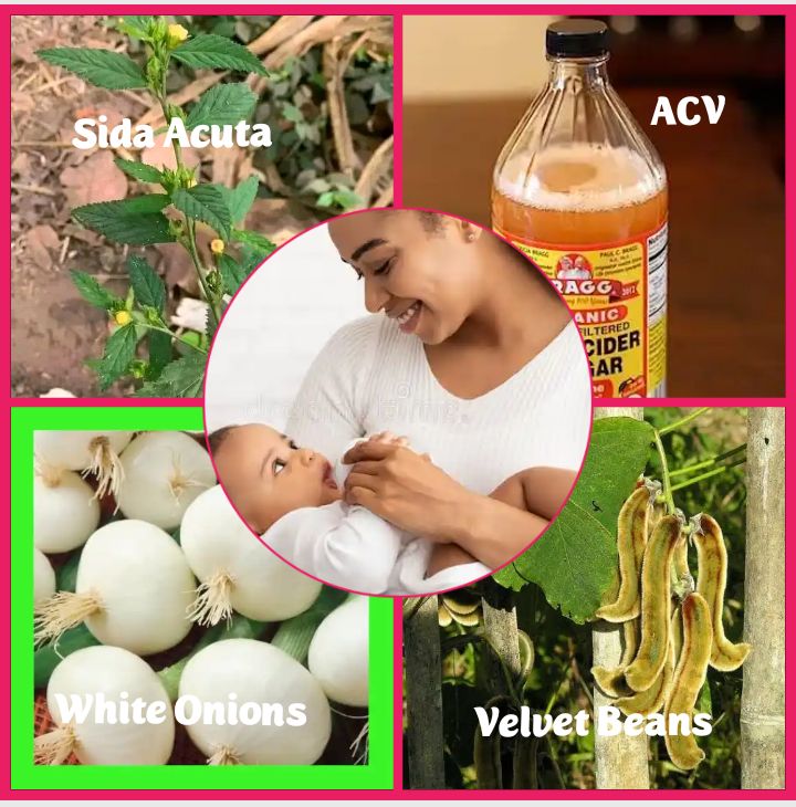 Dr. Victory on Selar