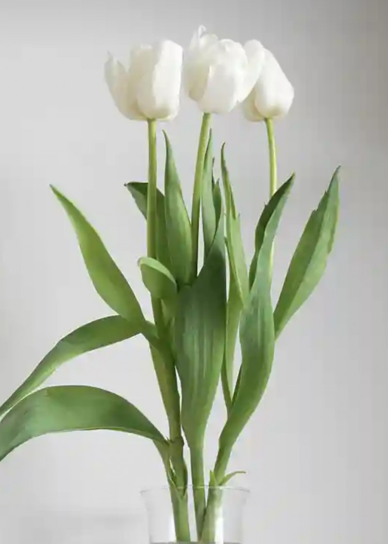 Momoh Yusuf on Selar