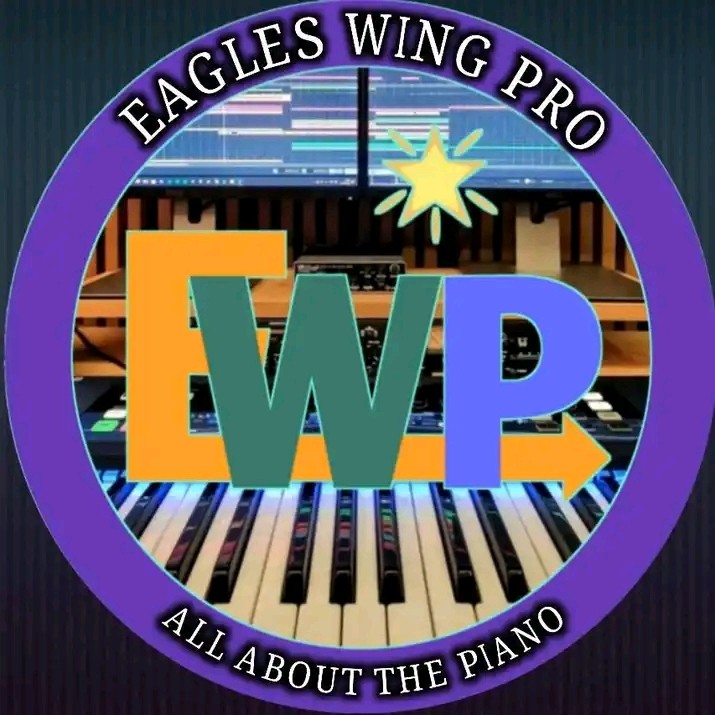 Eagles Wing Pro on Selar