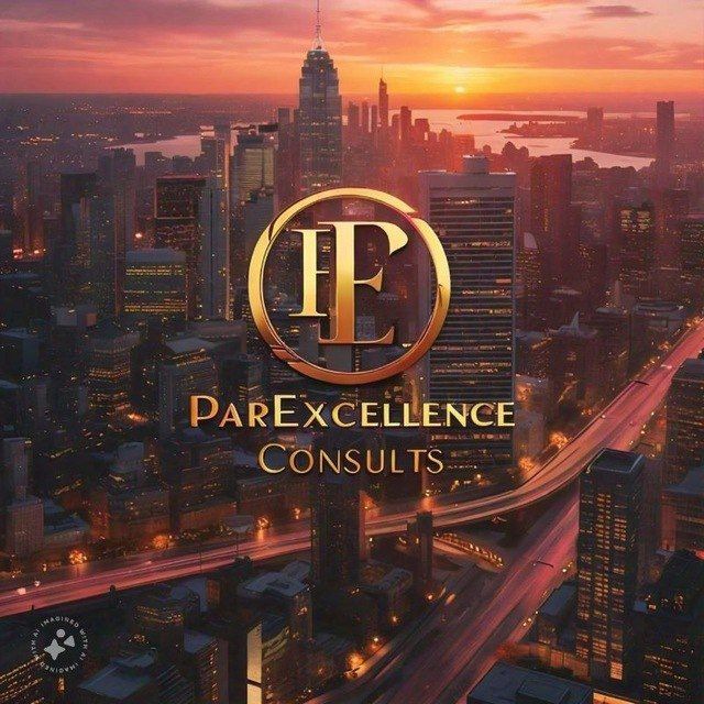 ParExcellence Consults on Selar