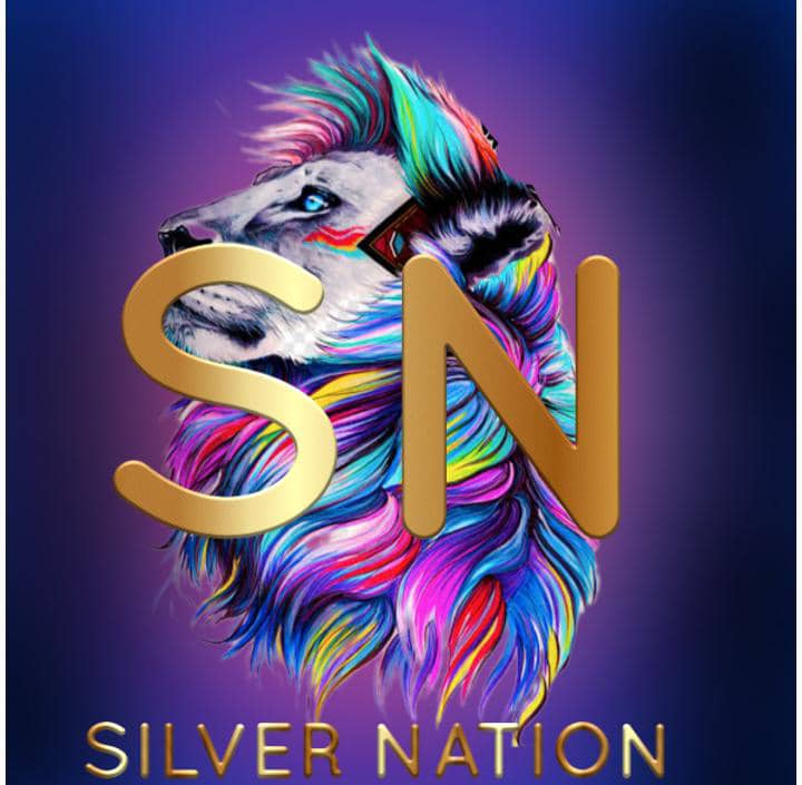 SILVER 💫 NATION on Selar