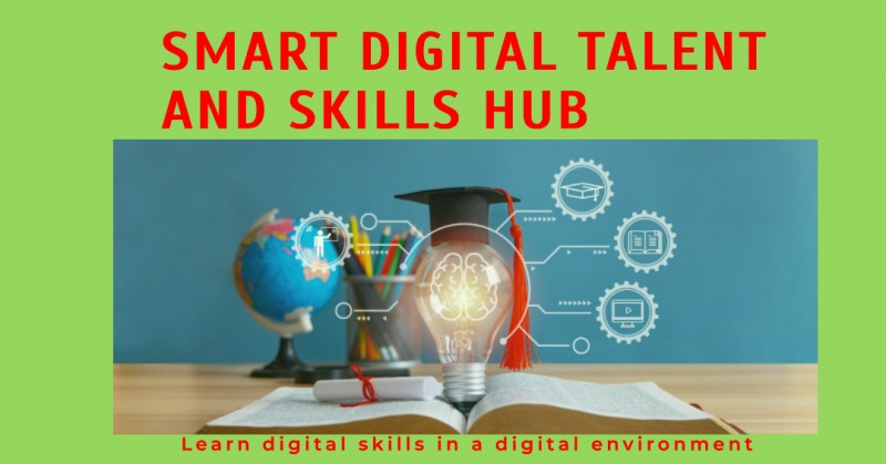 Smart Digital Talent and Skills Hub on Selar