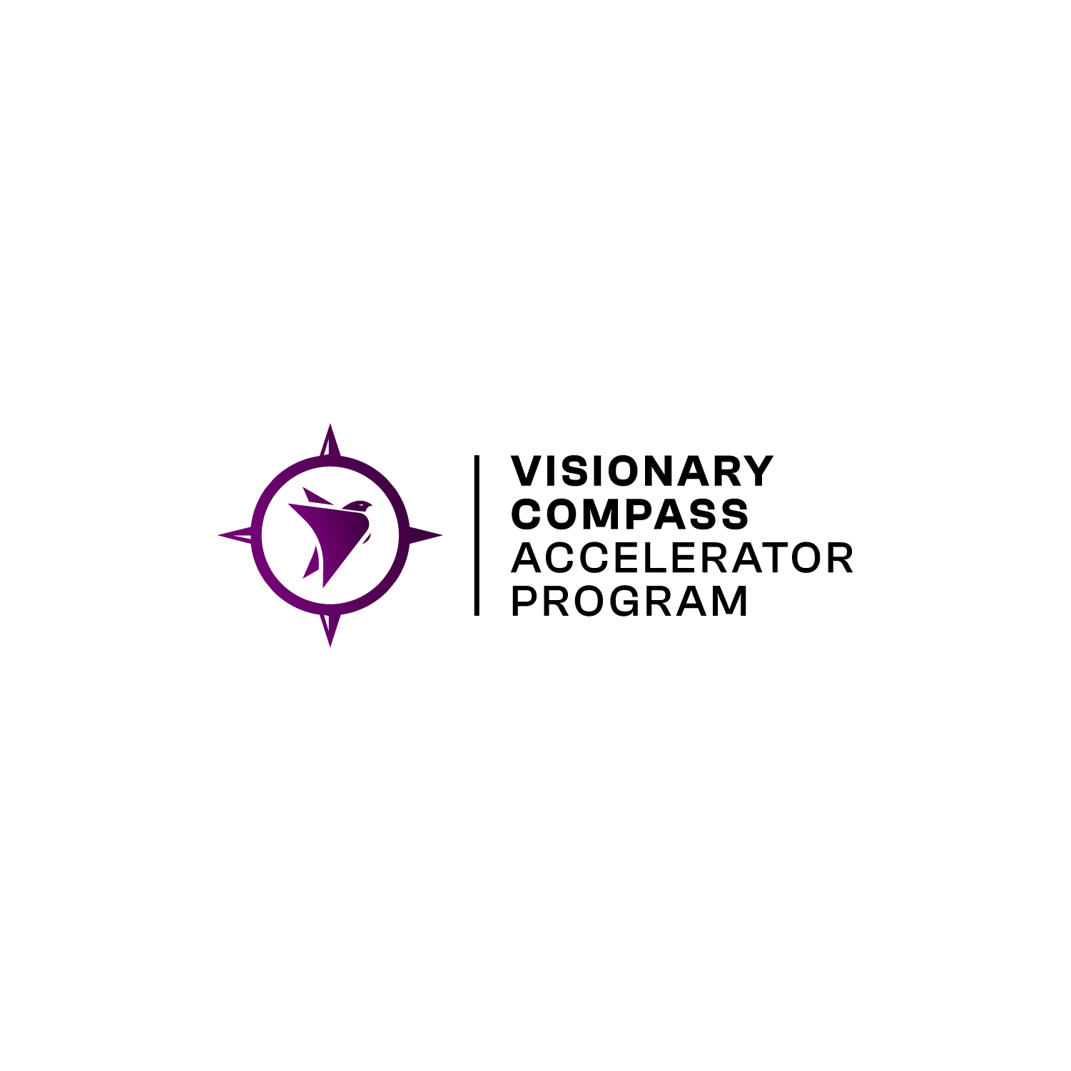 Visionary Compass Accelerator Program on Selar