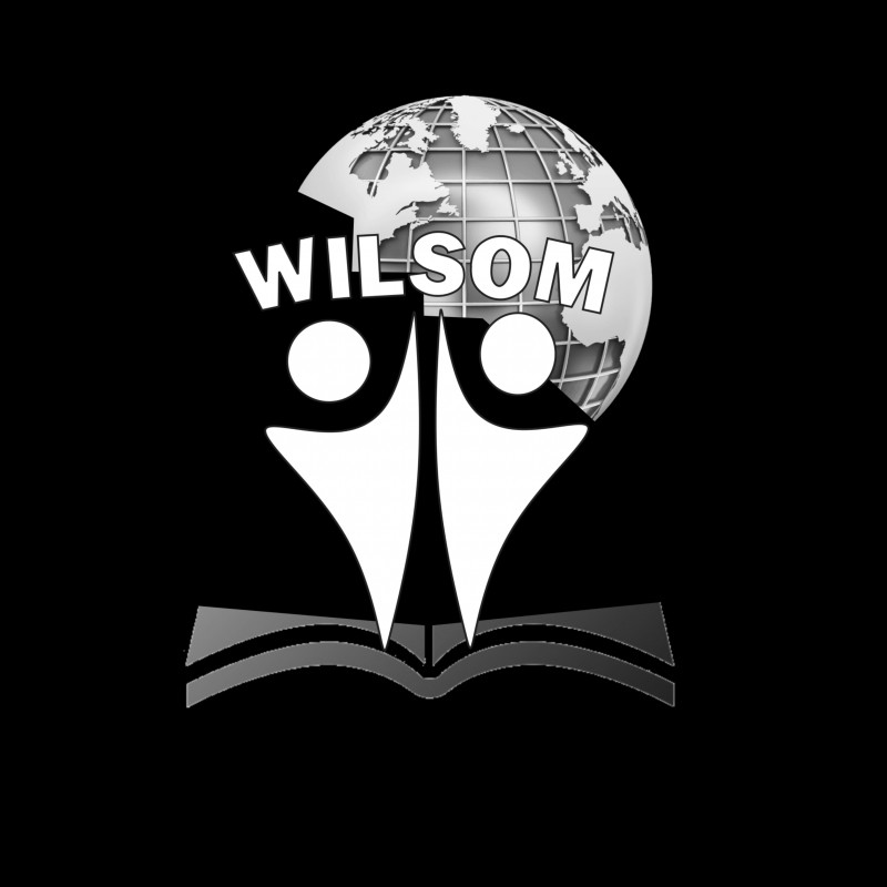 WILSOM on Selar
