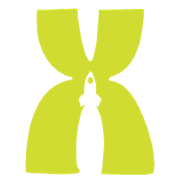 Brave Achievers on Selar