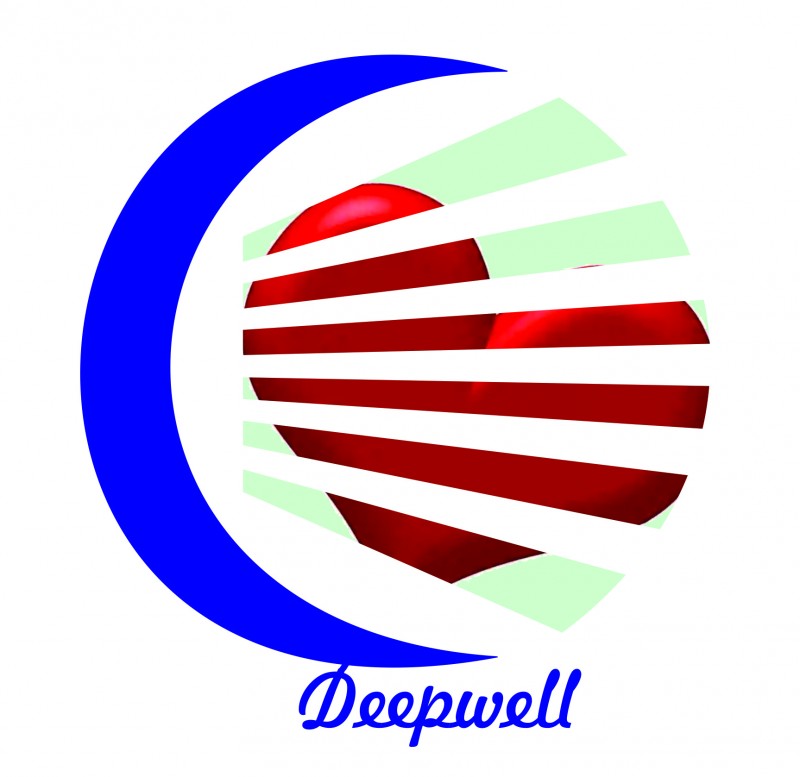 Deepwell International on Selar