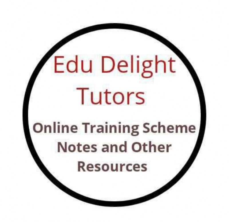 Edu Delight Tutors on Selar