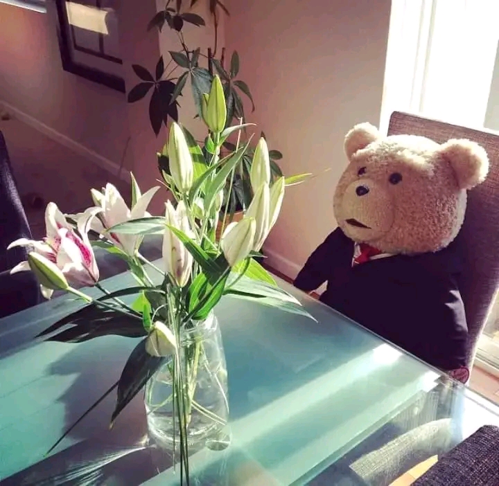 Emmanuel chibuike on Selar