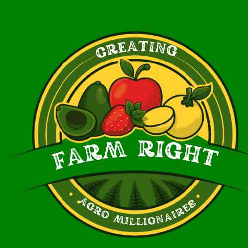 Farm Right Business Express Limited on Selar