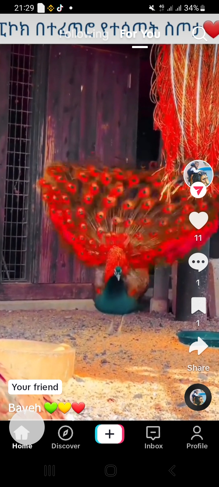 Getachew bekele weldemichael on Selar