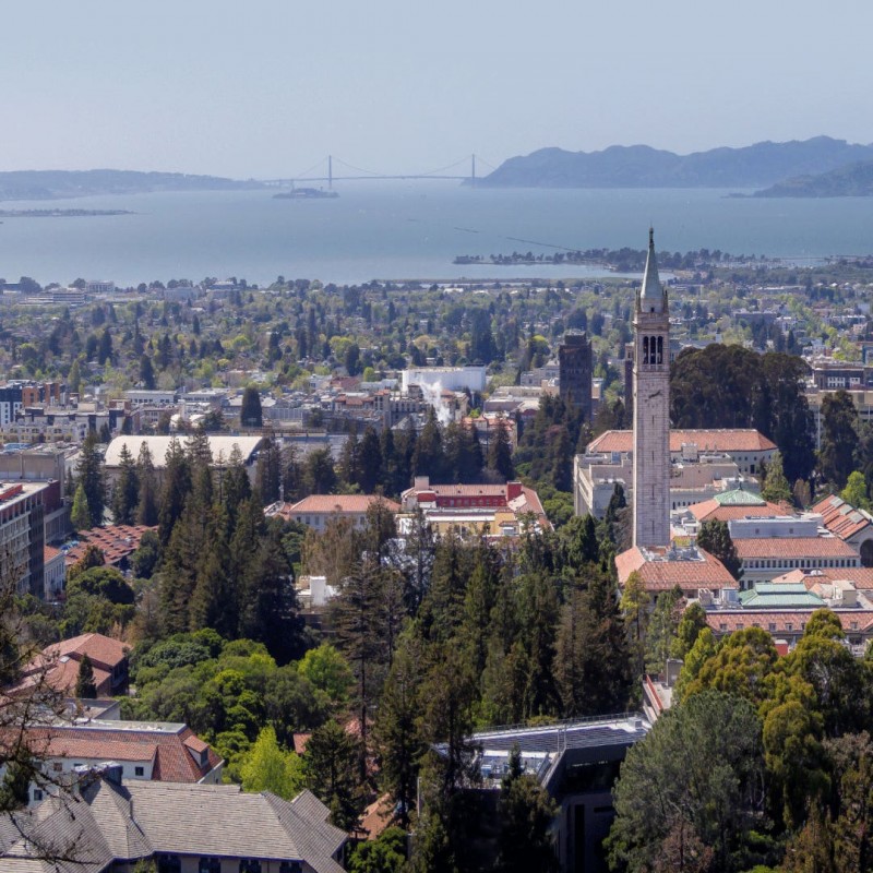 Larry Michael on Selar