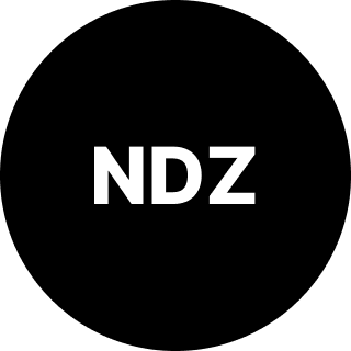 NDZ Store on Selar