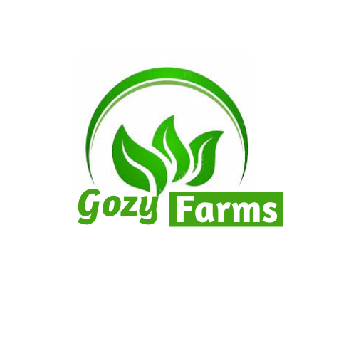 Gozy Farms on Selar