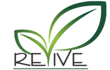 Revive Business Consulting Services Ltd. on Selar