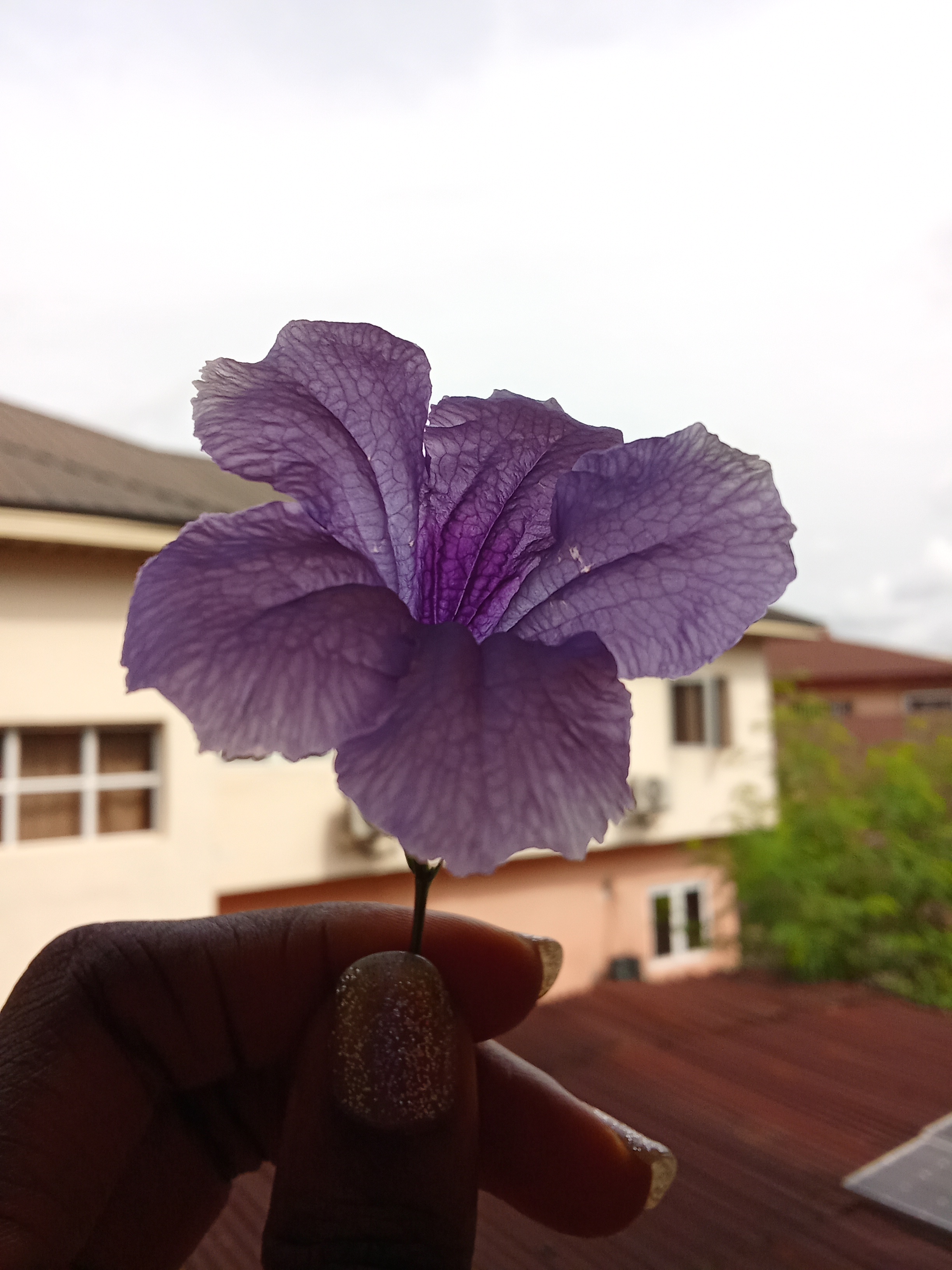 Show Love to Mimmie 🫶 on Selar - Selar