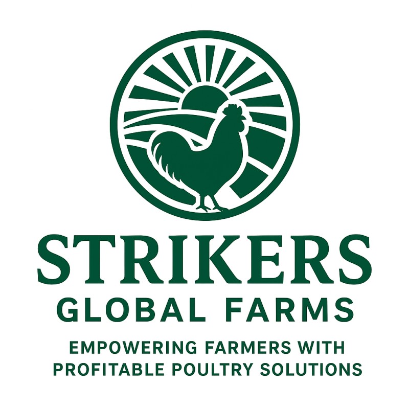 Strikers Global on Selar