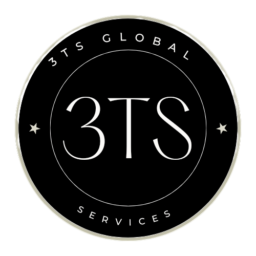 3TS GLOBAL SERVICES on Selar