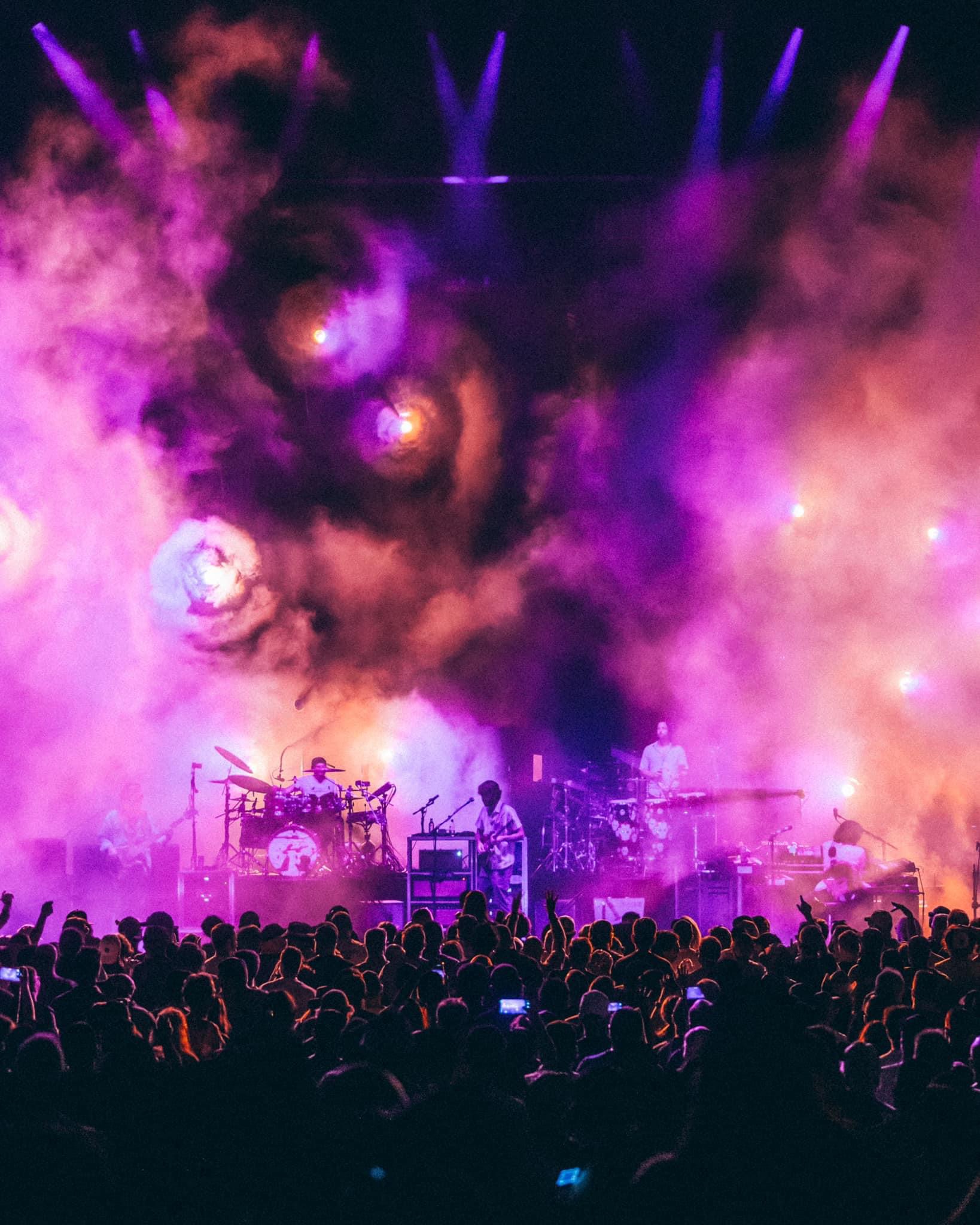 Show Love to Goose on Selar - Selar