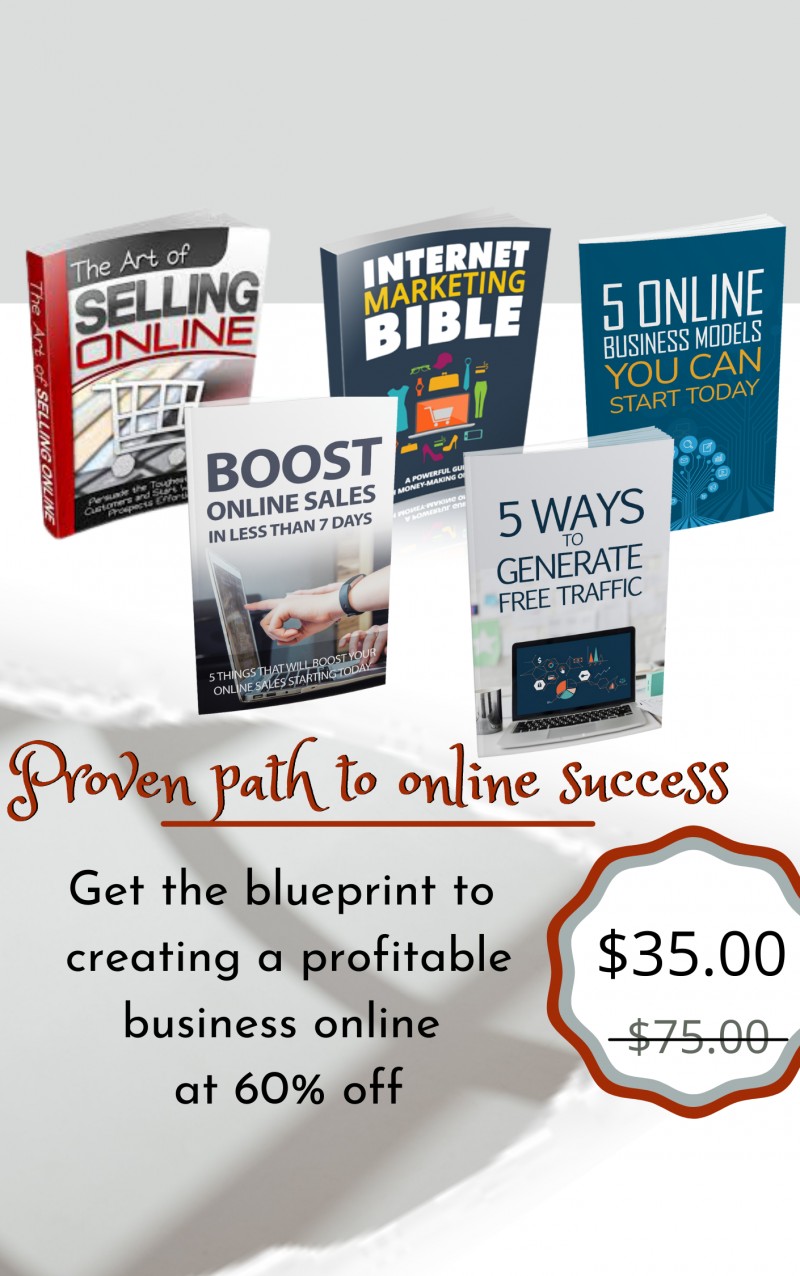 Buy PROVEN PATH TO ONLINE SUCCESS by Folashade Akinola on Selar