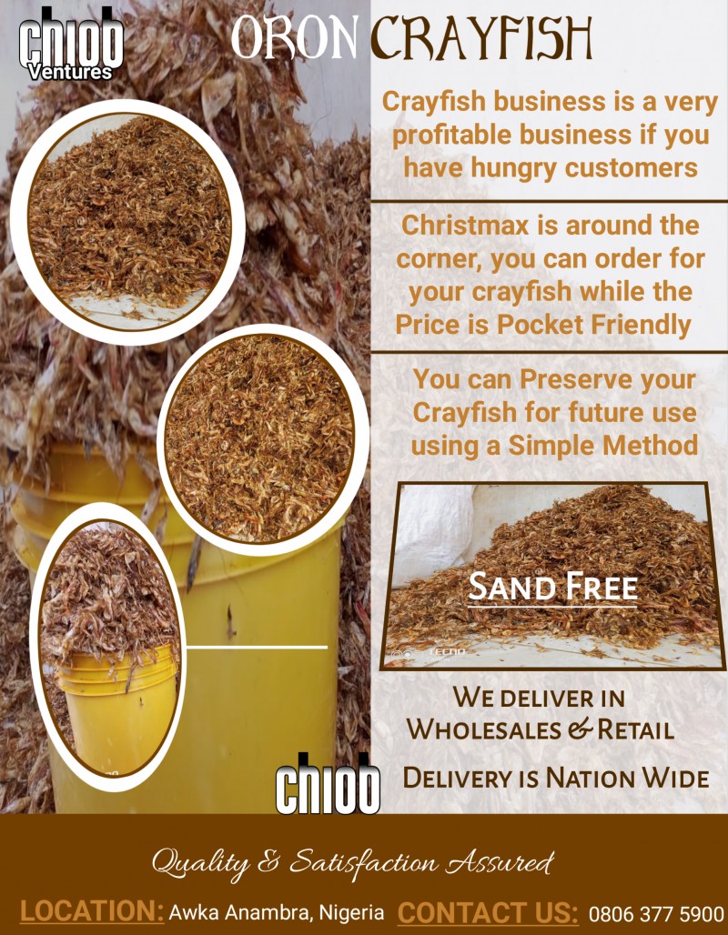 Buy ORON CRAYFISH by Obioma Irene Chinazo on Selar