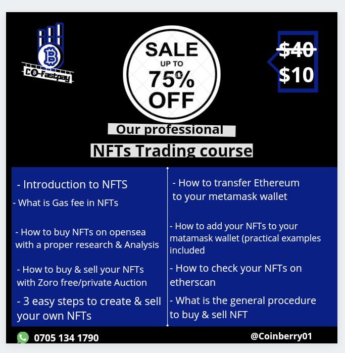 Buy NFT beginner's blueprint guide by Victor Ugochukwu on Selar