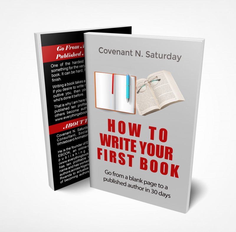 Buy HOW TO WRITE YOUR FIRST BOOK: Go from a blank page to a published ...