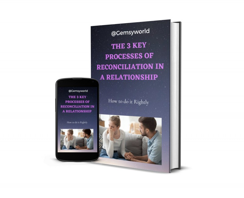 Buy The 3 key processes of reconciliation in a relationship; how to do ...