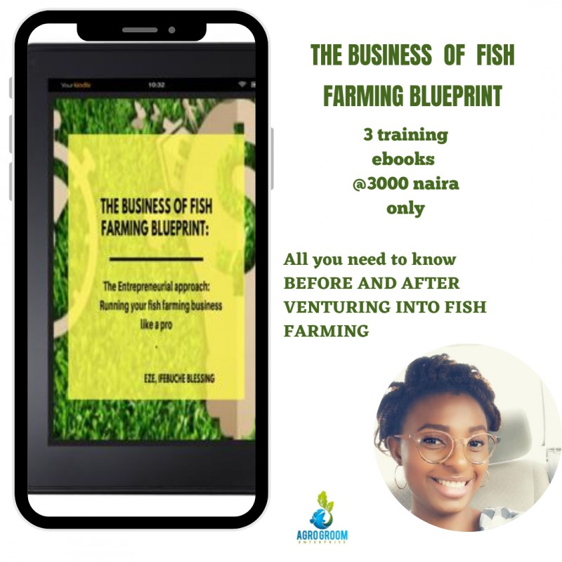 Buy Business of Fish Farming Training Kit by Ifebuche Blessing Eze on Selar