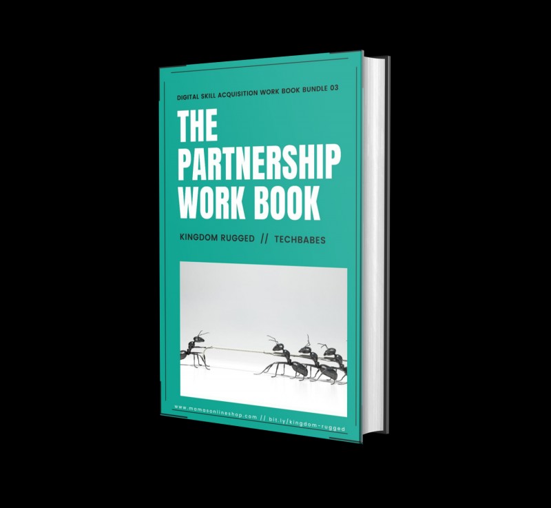 Buy The Partnership Workbook by Chukwubunnam Nwabugwu on Selar