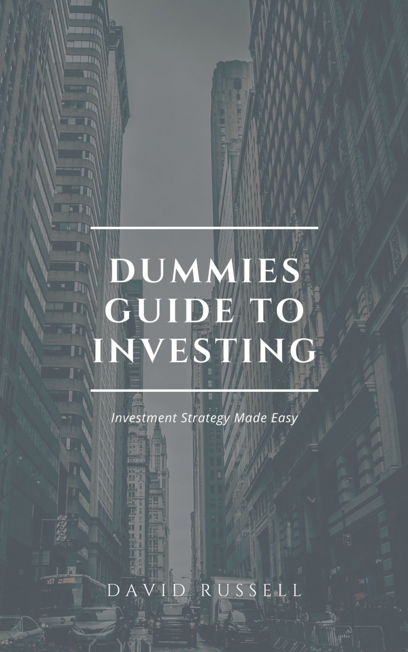 Buy DUMMIES GUIDE TO INVESTING; INVESTMENT STRATEGY MADE EASY by ...