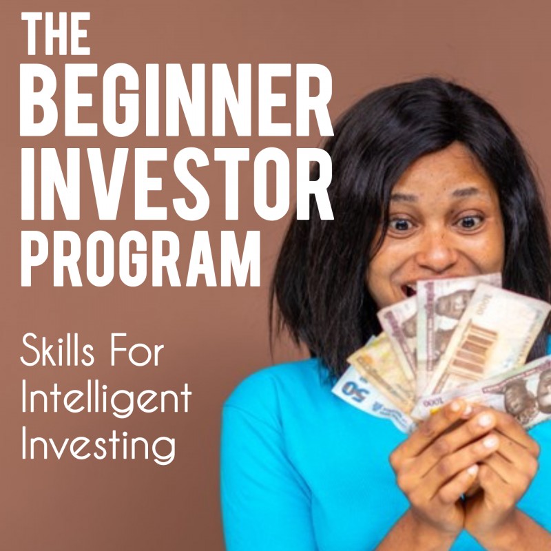 Buy THE BEGINNER INVESTOR PROGRAM by MacHenry Churchill on Selar