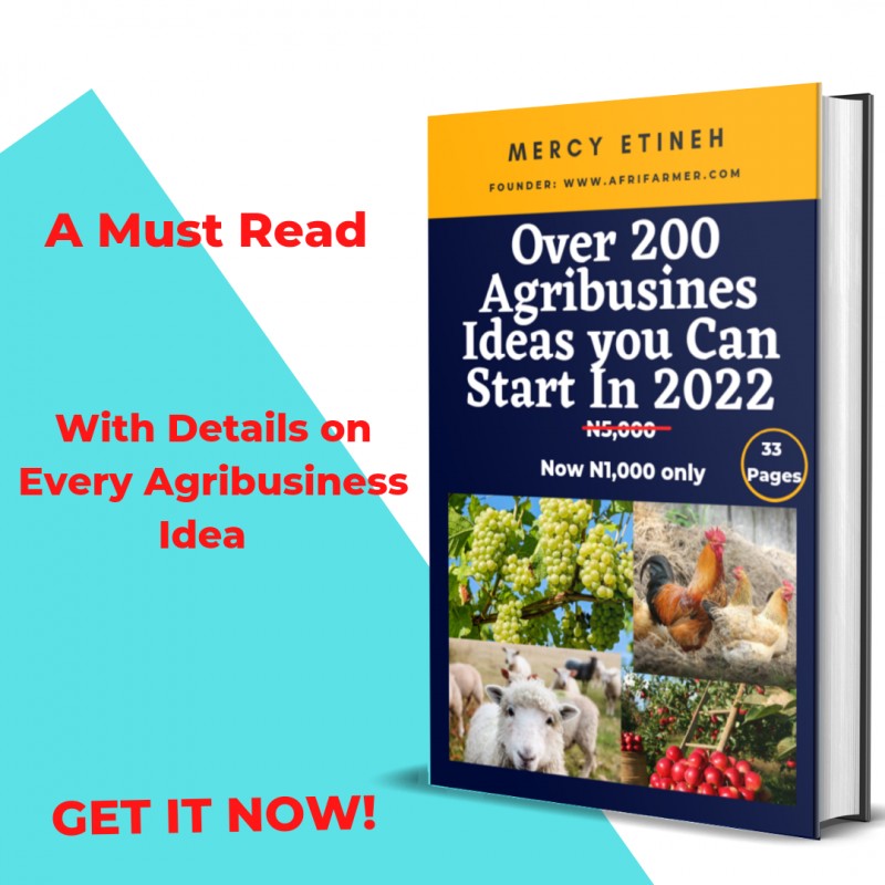 Buy 200 Agribusines Ideas You Can Start In 2022 by Mercy Ikyari on Selar