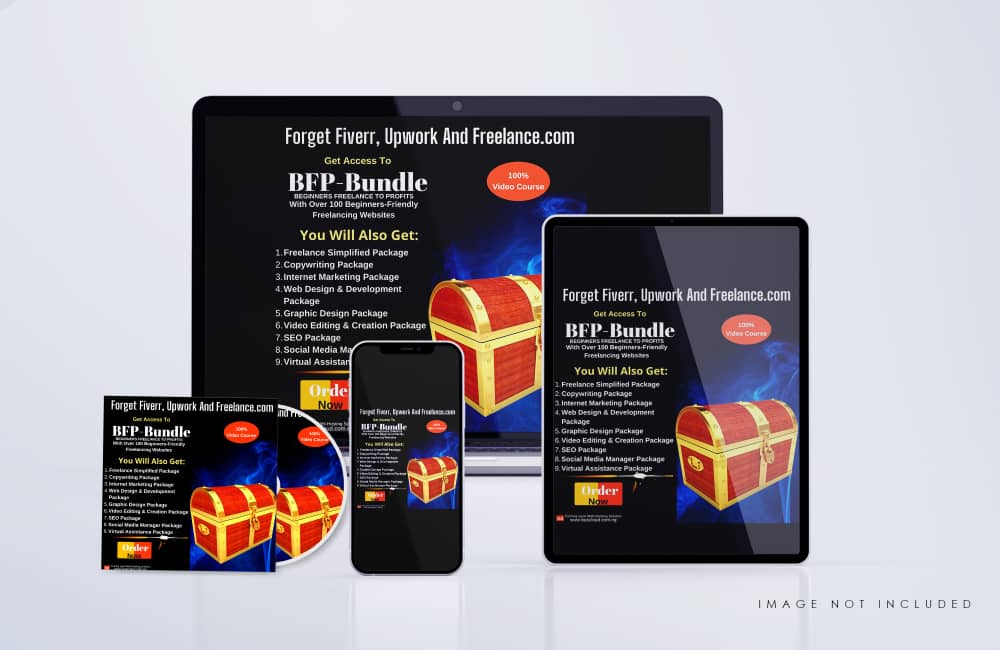 Buy Beginners Freelance to Profits - BFP-Bundle by Ibrahim Nurudeen Olawale on Selar