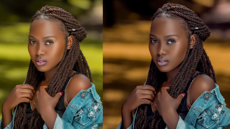 Buy Omega LR & Camera Raw Presets* by Ronnix Photography on Selar