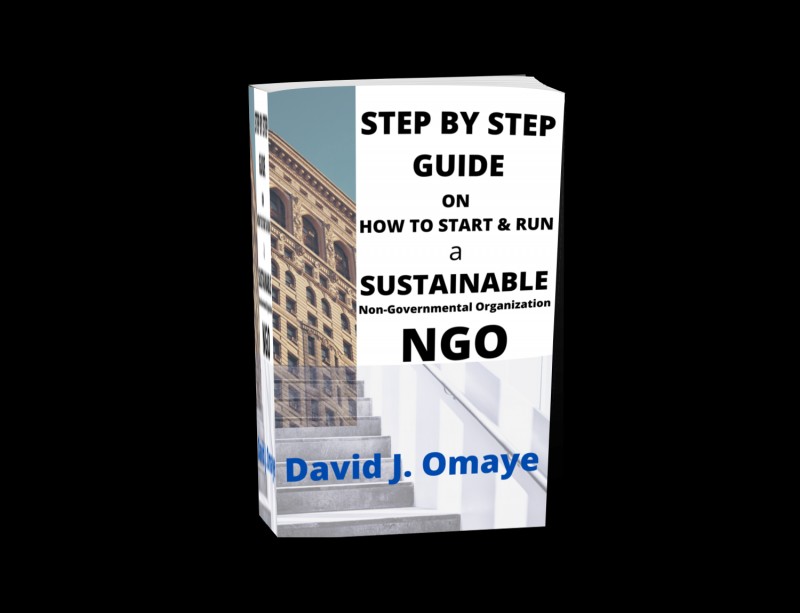 Buy Step by Step Guide on How to Start and Run a Sustainable NGO by Dr ...