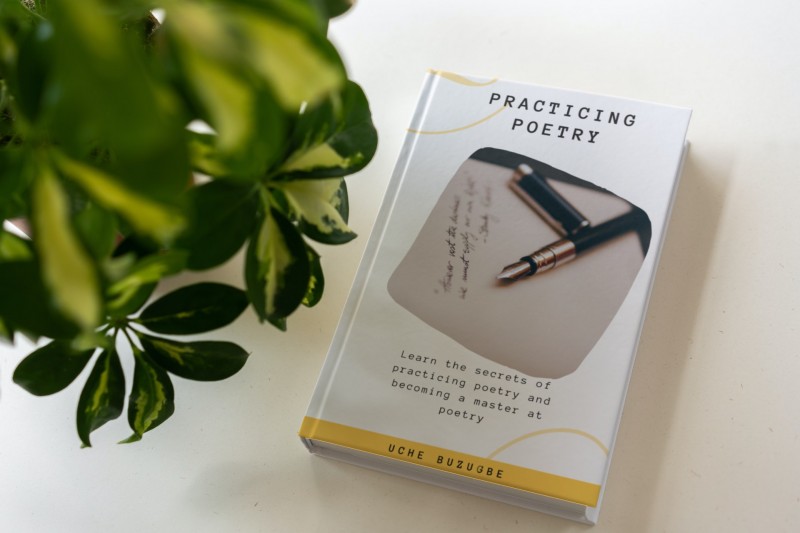 Buy Practicing Poetry by Buzugbe Uchechukwu on Selar