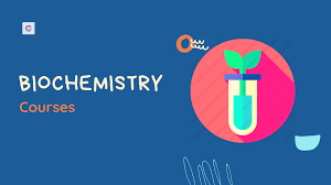 Buy Biochemistry project material by Samuel Adejoh on Selar