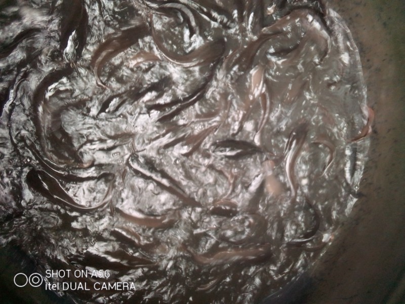 Buy Organically produced Broilers and Catfish available at 1st com 1st ...