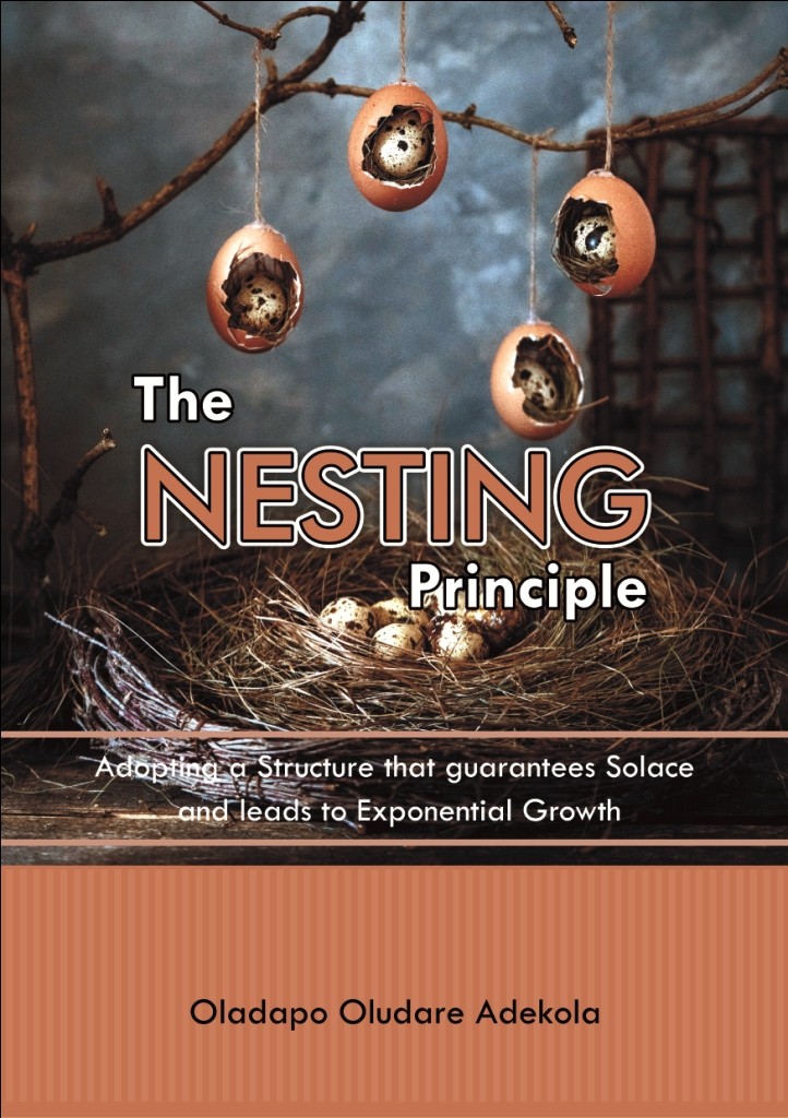 Buy The Nesting Principle by Oladapo Oludare Adekola on Selar