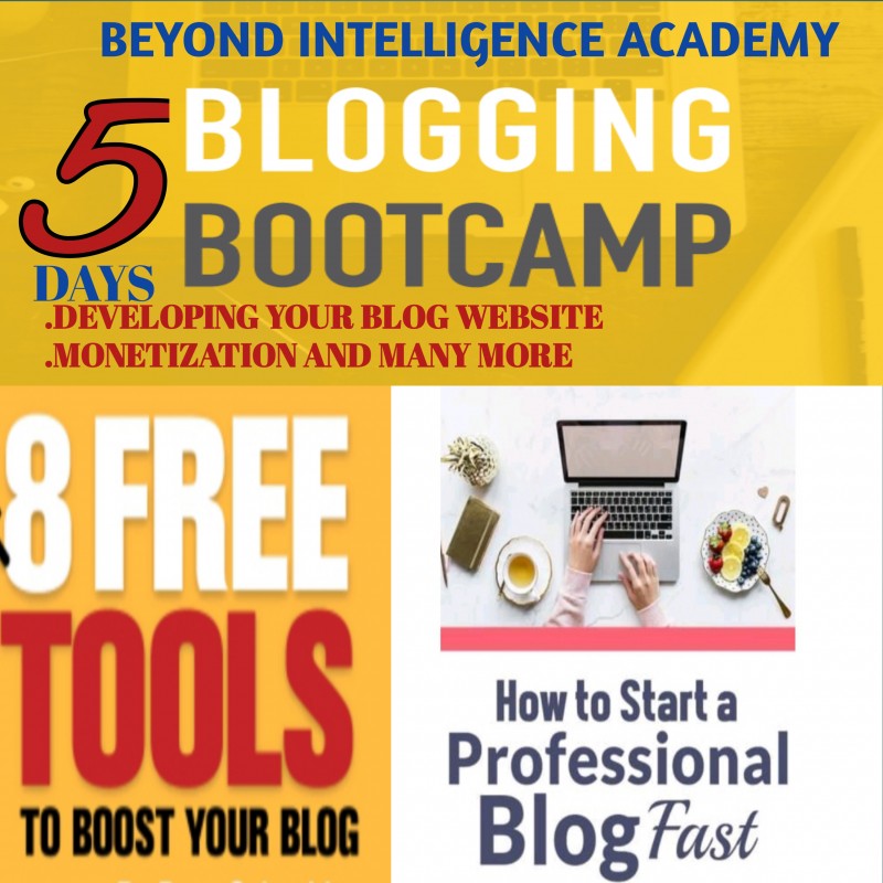 Buy Blogging Bootcamp by Barnes Amoah on Selar