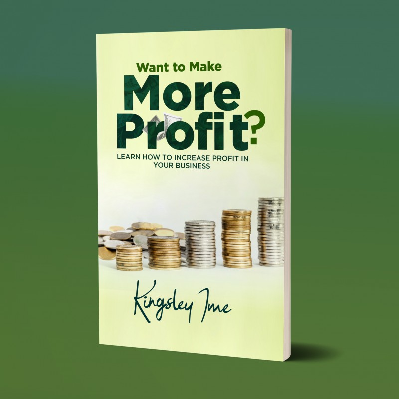 Get Want To Make More Profit by kingsley Ime on Selar