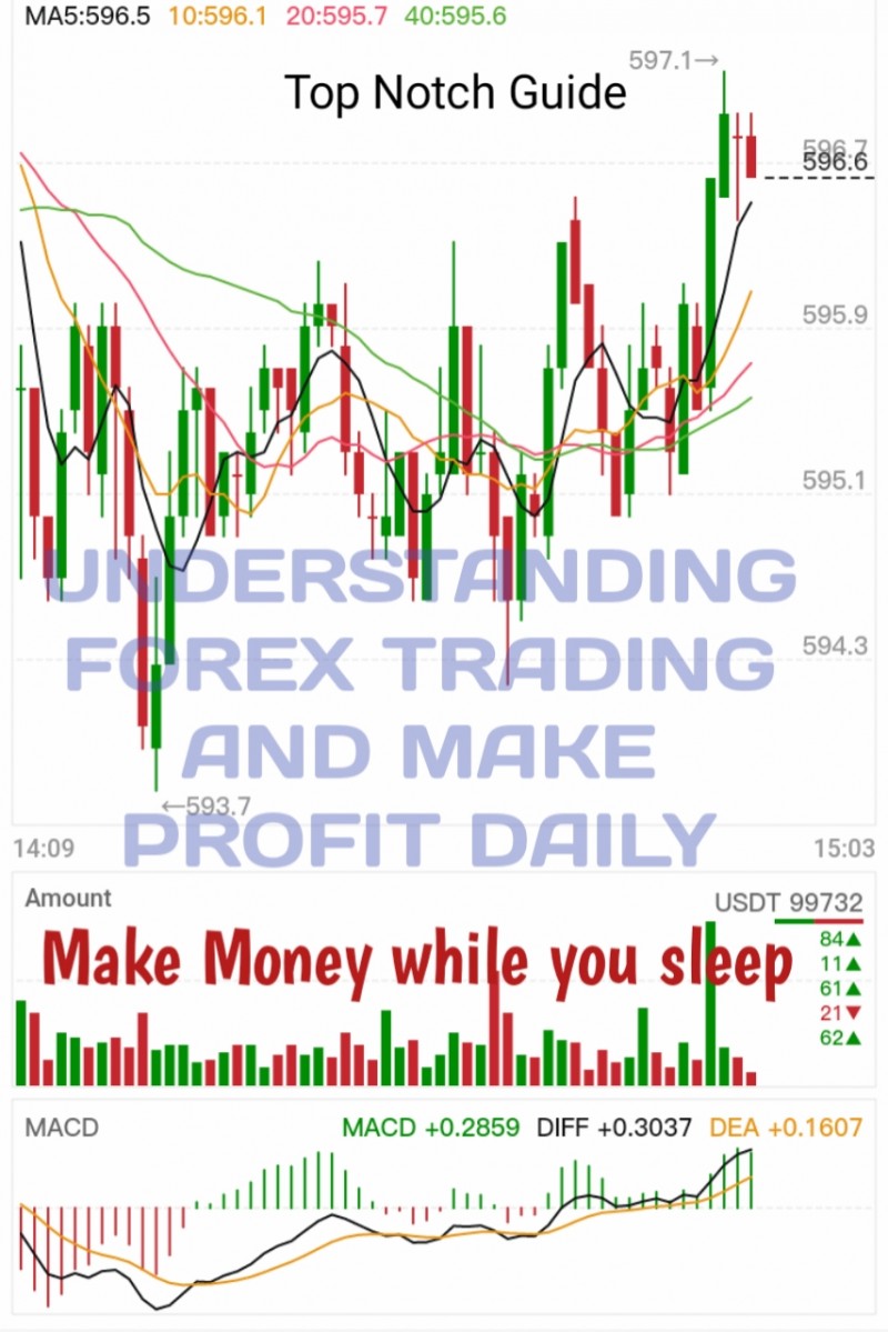 Buy UNDERSTANDING FOREX TRADING AND MAKE PROFIT DAILY by Digital ...
