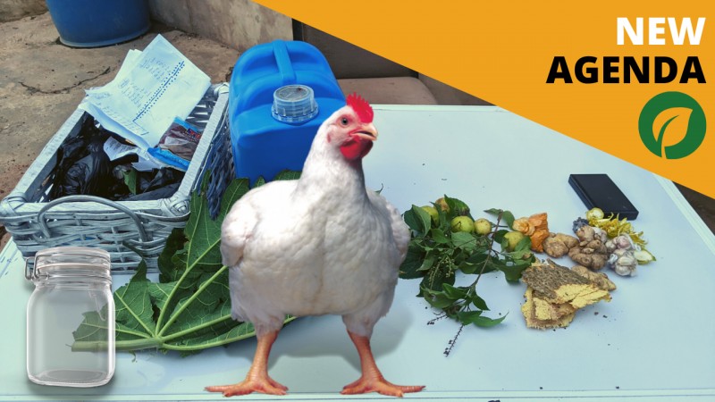 Buy ORGANIC POULTRY VIDEO COURSE by Feathers Pro on Selar