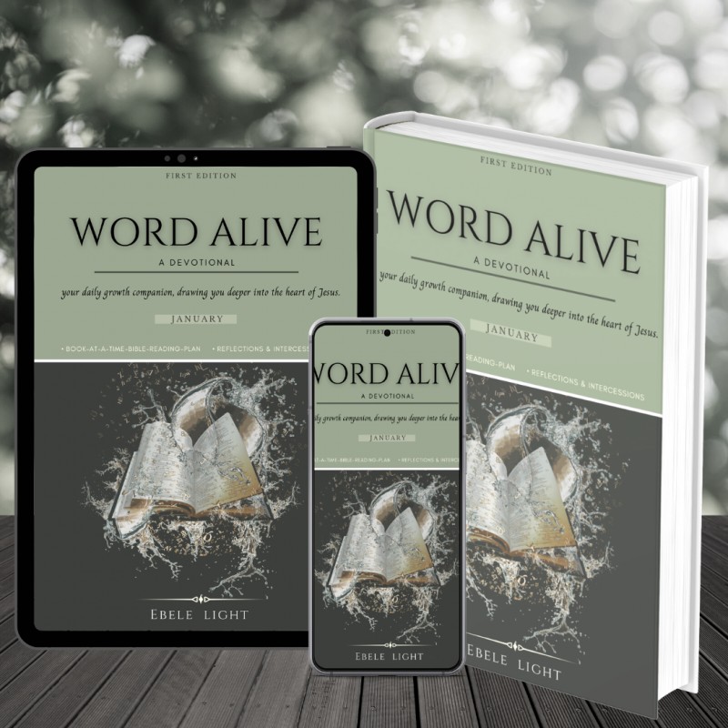 Buy Word Alive Devotional {January} by Ebele Light on Selar