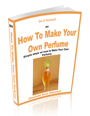 Buy HOW TO MAKE YOUR OWN PERFUME by Ewealthdepot Business Innovation on ...