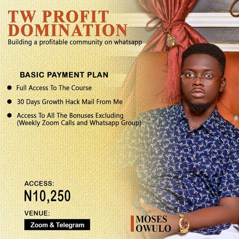 Buy TW PROFIT DOMINATION basic plan by moses owulo on Selar