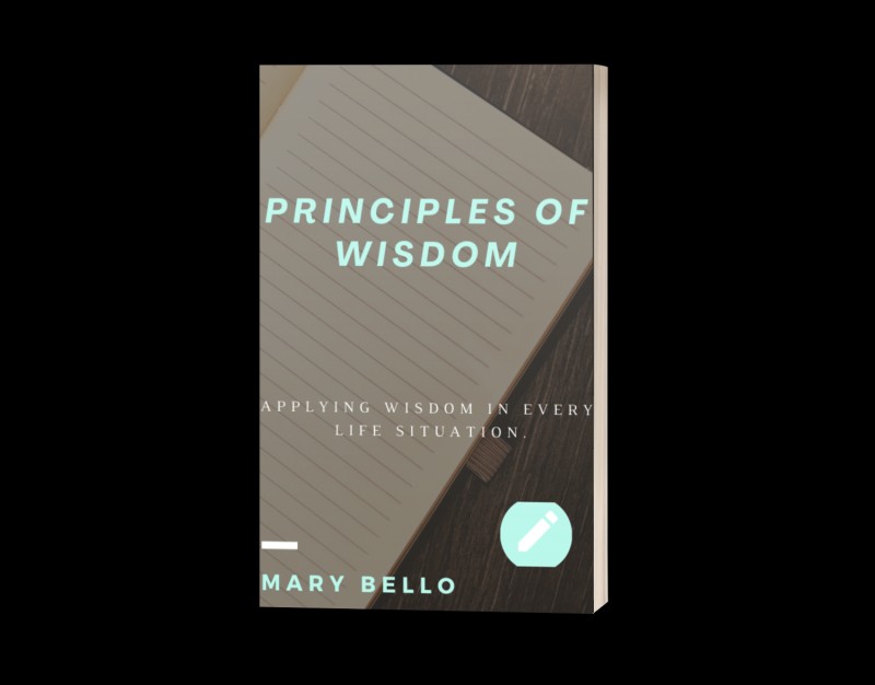 Buy Principles of Wisdom by M. Viral Trend on Selar