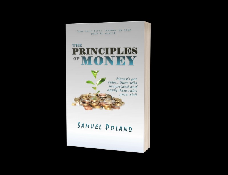 Buy THE PRINCIPLES OF MONEY by CYMC BIZ ACADEMY COURSES STORE on Selar