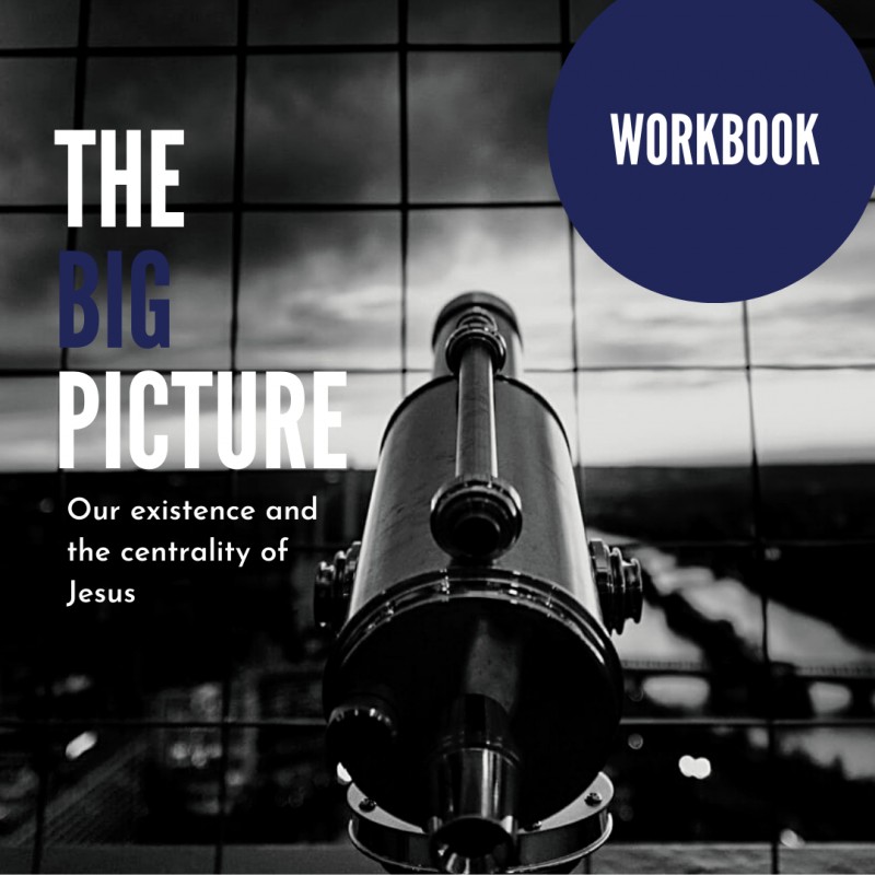 Buy The Big Picture: Workbook by Seekers Republic on Selar